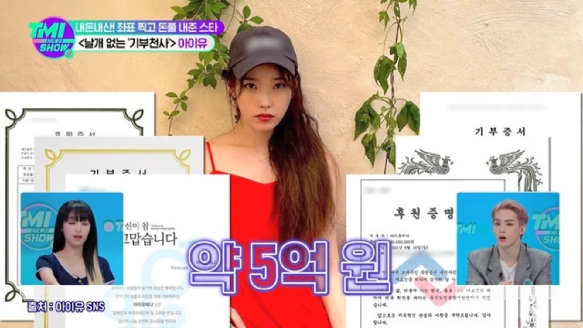 捐款妖精 IU 從 15 歲行善！出道以來累計捐款 43 億韓元 - LUVKPOP