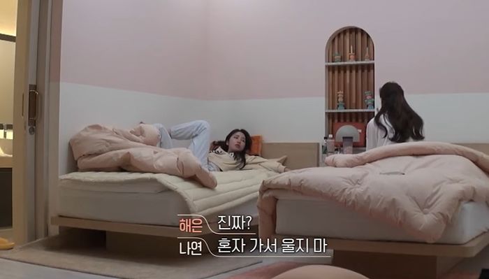 《換乘戀愛2》娜妍對室友海恩的溫馨舉動引發討論「完全就是狐狸 vs 友情」 - LUVKPOP